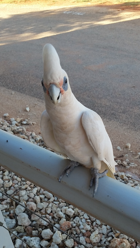 Exmouth Australia – Why is it our favorite Australia destination ...