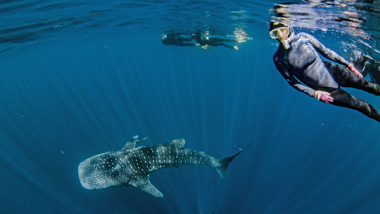 Exmouth Australia – Why is it our favorite Australia destination ...